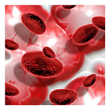 Anemia: o que é, seus tipos e como tratar